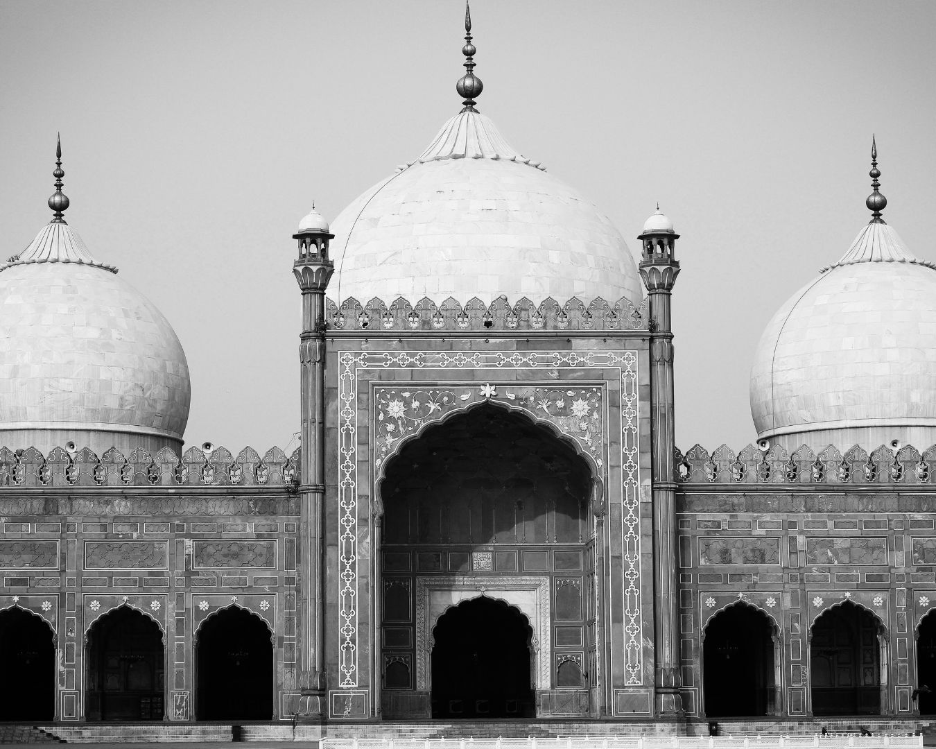 Talk to Our Team Today – Octans Digital